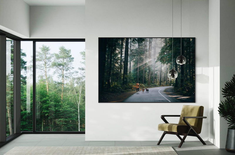 Premium Extra Large Canvas Prints | Massive Personalised Wall Art