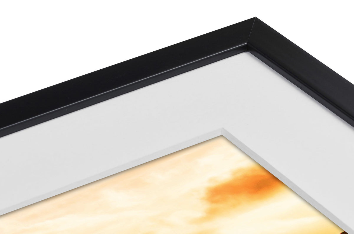 Panoramic Framed Mounted Photo Print | Handmade in UK Gallery Quality